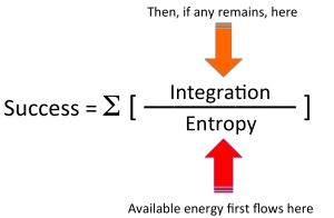 The Universal Success Formula - Organizational Physics by Lex Sisney