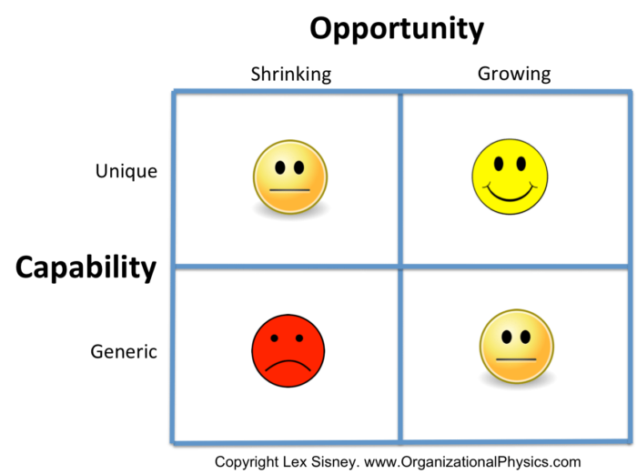 Success Goes to the Best Adapted - Organizational Physics by Lex Sisney
