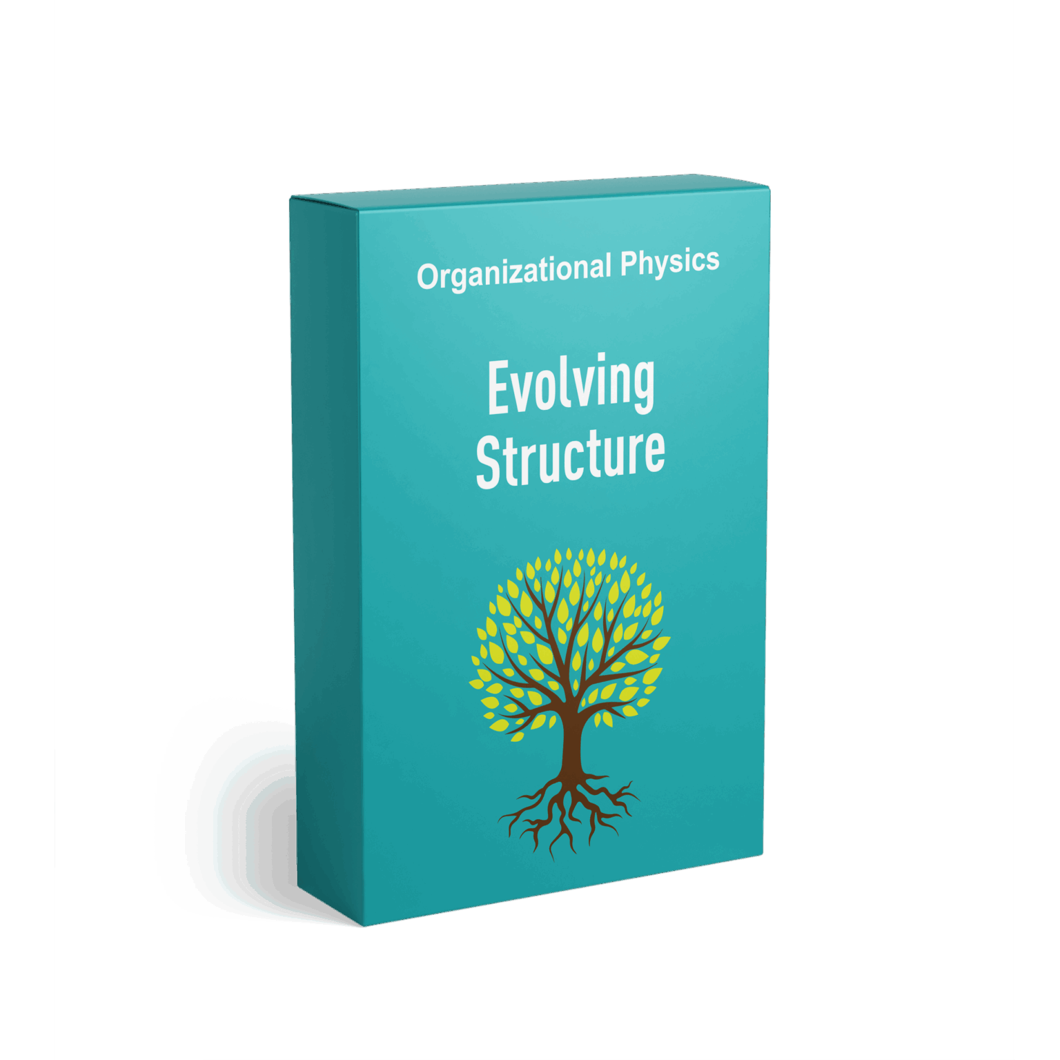 Evolving Structure - Organizational Physics