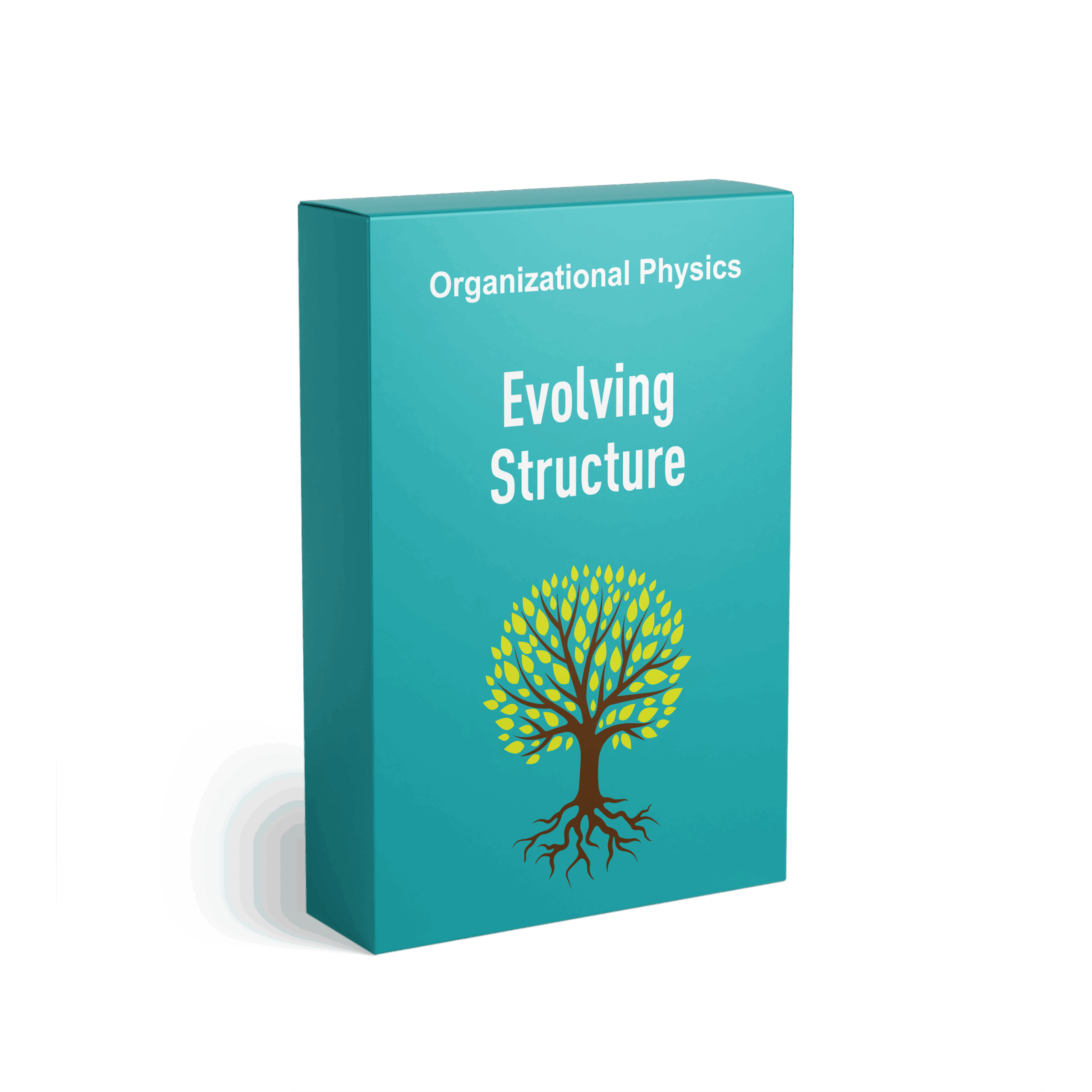 Evolving Structure - Organizational Physics