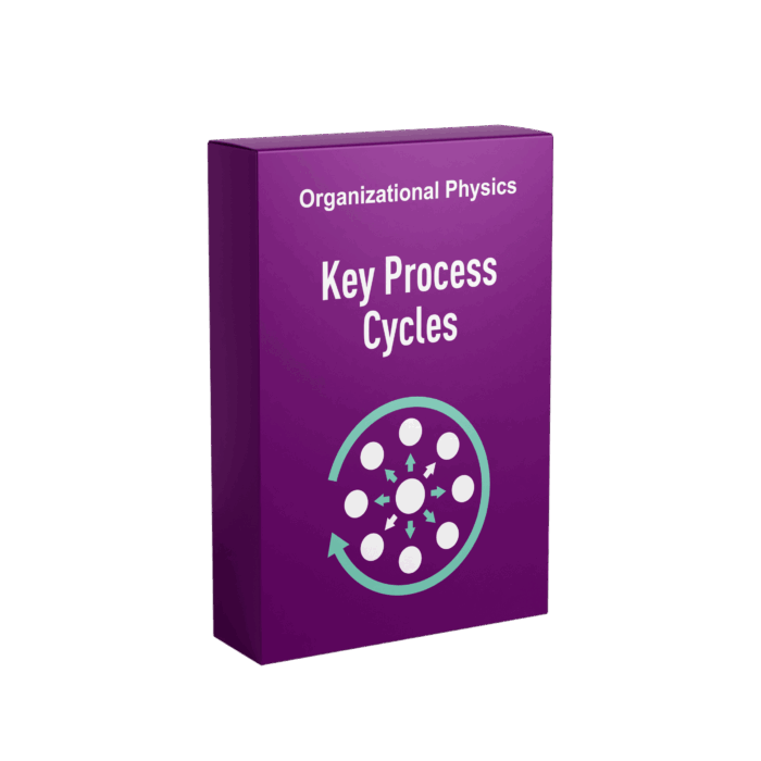 Key Process Cycles - Organizational Physics
